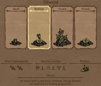 Weeds | Don't Starve Wiki | Fandom