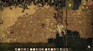 Knobbly Tree | Don't Starve Wiki | Fandom
