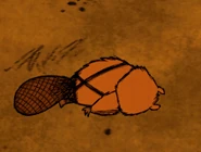 Cursed Woodie | Don't Starve 攻略 Wiki | Fandom
