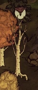 Birchnut Tree | Don't Starve Wiki | Fandom
