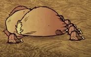 Koalefant | Don't Starve Wiki | Fandom