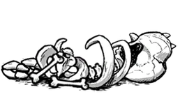 Koalefant Carcass | Don't Starve Wiki | Fandom