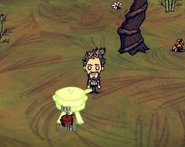 Portable Crock Pot | Don't Starve Wiki | Fandom