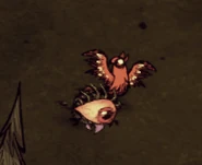 Tallbird | Don't Starve Wiki | Fandom