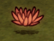 Abigail's Flower | Don't Starve Wiki | Fandom