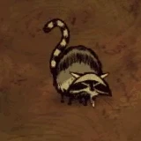 Mapache | Wiki Don't Starve | Fandom