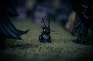 Rabbit | Don't Starve Wiki | Fandom