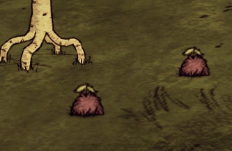 Birchnutter | Don't Starve Wiki | Fandom