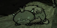 Beefalo | Don't Starve 攻略 Wiki | Fandom
