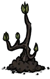 Twiggy Tree | Don't Starve Wiki | Fandom