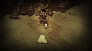 Treeguard | Don't Starve 攻略 Wiki | Fandom