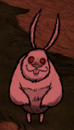 Bunnyman | Don't Starve Wiki | Fandom