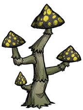 Toadstool | Don't Starve Wiki | Fandom