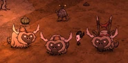 Beefalo | Don't Starve Wiki | Fandom
