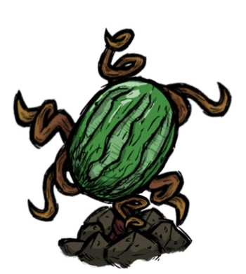 Watermelon | Don't Starve Wiki | Fandom