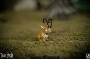 Rabbit | Don't Starve Wiki | Fandom