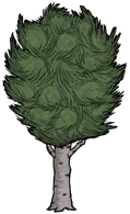 Tree | Don't Starve Wiki | Fandom