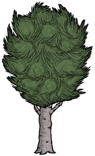 Birchnut Tree | Don't Starve Wiki | Fandom