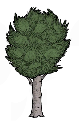 Árvore Birchnut | Wiki Don't Starve Português | Fandom