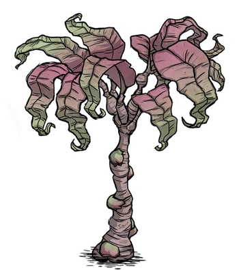 Rainforest Tree | Don't Starve Wiki | Fandom