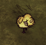 Mosling | Don't Starve Wiki | Fandom