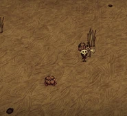 Koalefant | Don't Starve Wiki | Fandom