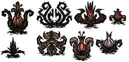 Flower | Don't Starve 攻略 Wiki | Fandom
