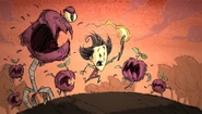 Birchnut Tree | Don't Starve Wiki | Fandom