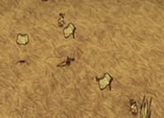 Carrot | Don't Starve Wiki | Fandom