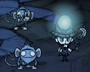 Splumonkey | Don't Starve Wiki | Fandom