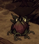 Lureplant | Wiki Don't Starve | Fandom