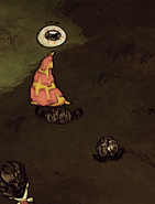 Houndius Shootius | Don't Starve Wiki | Fandom