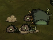 Glommer | Wiki Don't Starve | Fandom