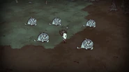Hound | Don't Starve Wiki | Fandom