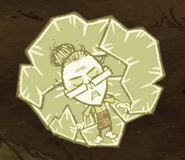 Wickerbottom | Wiki Don't Starve | Fandom