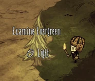 Torch | Don't Starve Wiki | Fandom