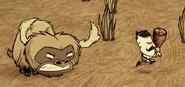 Beefalo | Don't Starve Wiki | Fandom