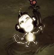 Wonkey | Don't Starve Wiki | Fandom