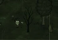 Árvore Birchnut | Wiki Don't Starve Português | Fandom