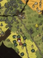 Frog | Don't Starve Wiki | Fandom
