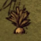 Carrot | Don't Starve Wiki | Fandom
