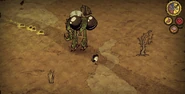 Lavae | Don't Starve Wiki | Fandom