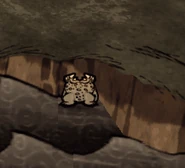 Frog | Don't Starve Wiki | Fandom