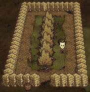 Gobbler | Don't Starve Wiki | Fandom