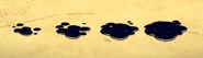 Tar | Don't Starve Wiki | Fandom