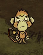 Wonkey (Gallery) | Don't Starve Wiki | Fandom