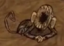 Splumonkey | ไกด์ Don't Starve thai Wiki | Fandom