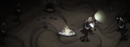 Splumonkey | ไกด์ Don't Starve thai Wiki | Fandom