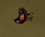 Butterfly | Don't Starve 攻略 Wiki | Fandom