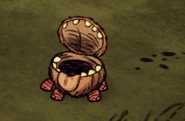 Chester | Don't Starve Wiki | Fandom